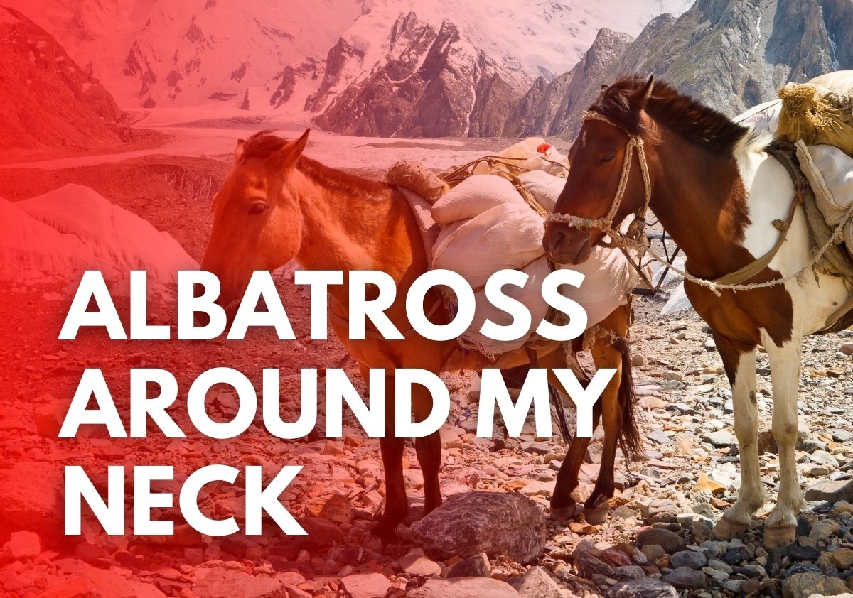 Albatross Around Neck